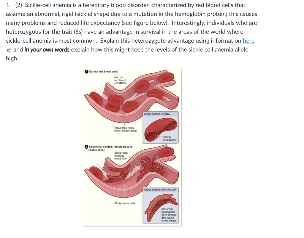 Solved 1. (2) Sickle-cell anemia is a hereditary blood | Chegg.com