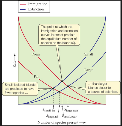 Solved Species interaction that could cause the extinction | Chegg.com
