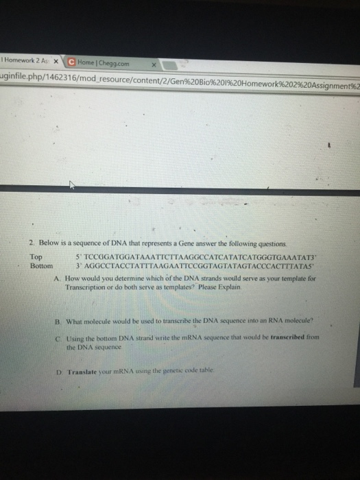 Solved Homework 2 As ×VeHomelCheggcom ginfile.php/ 14623 | Chegg.com