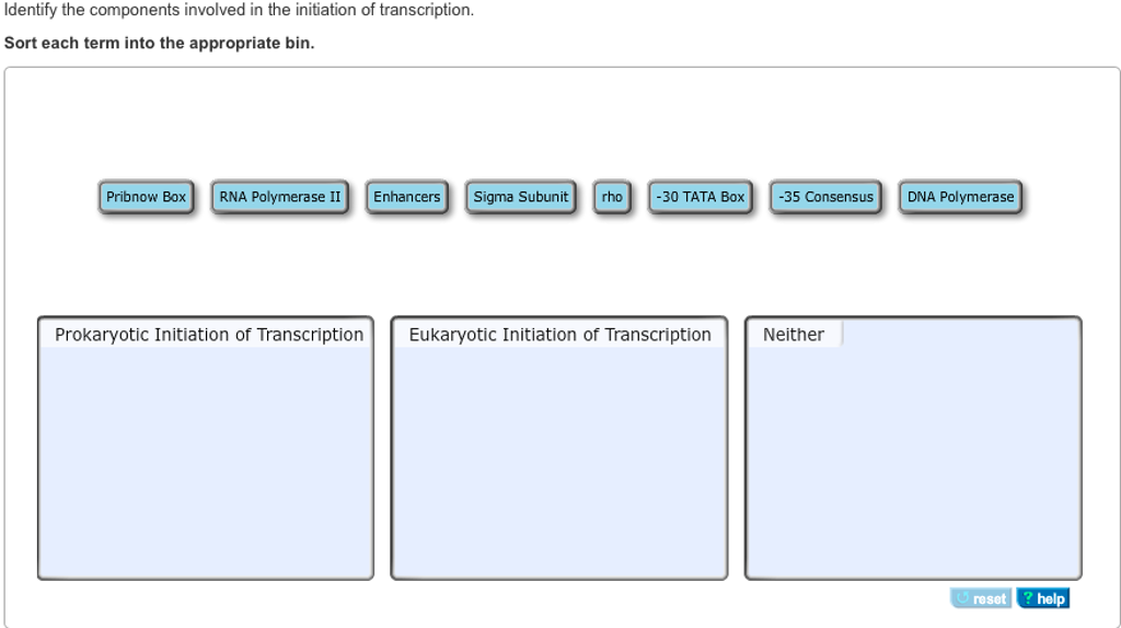Solved Identify the components involved in the initiation of | Chegg.com
