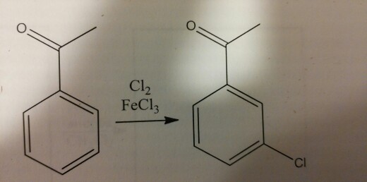 Solved O O Cl2 FeCl3 l C | Chegg.com