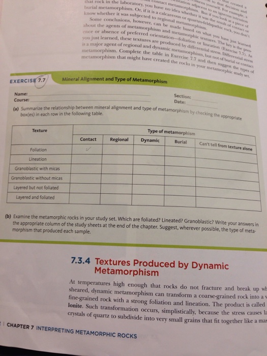 Solved Summarize the relationship between mineral alignment | Chegg.com