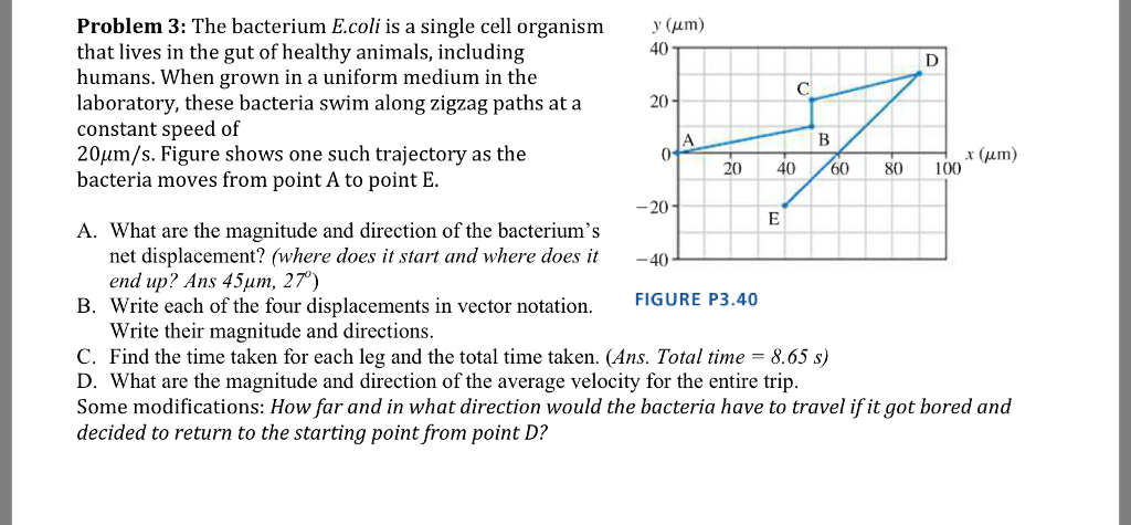 Solved y (Hm) 40 Problem 3: The bacterium E.coli is a single | Chegg.com