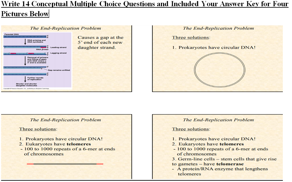 Solved Note: Write 14 Conceptual Multiple Choice Questions | Chegg.com