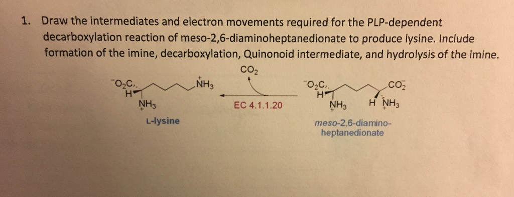 Solved Draw the intermediates and electron movements | Chegg.com