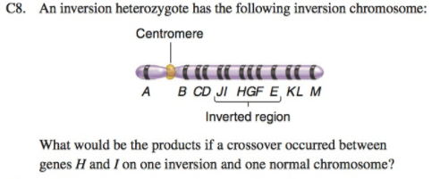 Solved C8. An inversion heterozygote has the following | Chegg.com