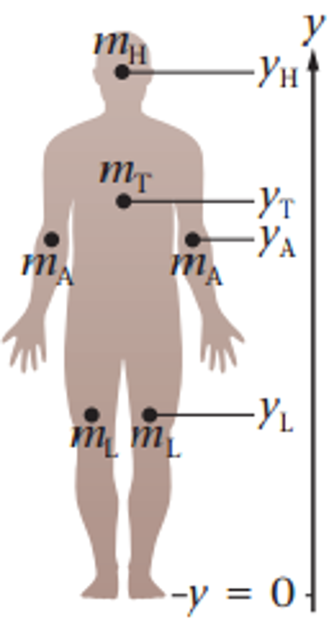 Solved Suppose the human body can be reduced to individual | Chegg.com