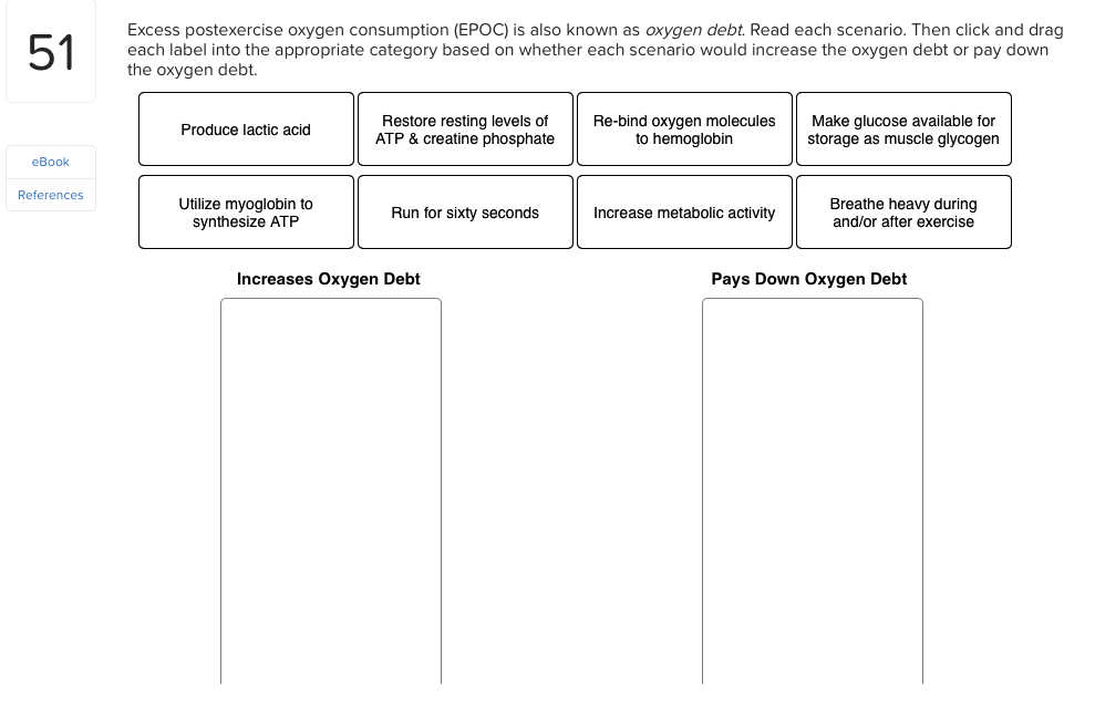 Solved Excess postexercise oxygen consumption (EPOC) is also | Chegg.com