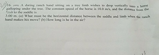Solved 16.A daring ranch hand sitting on a tree limb wishes | Chegg.com