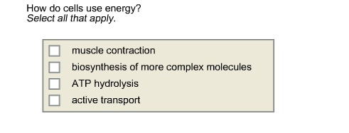 Solved How do cells use energy? Select all that apply. | Chegg.com