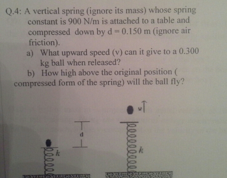 Solved A vertical spring (ignore its mass) whose spring | Chegg.com