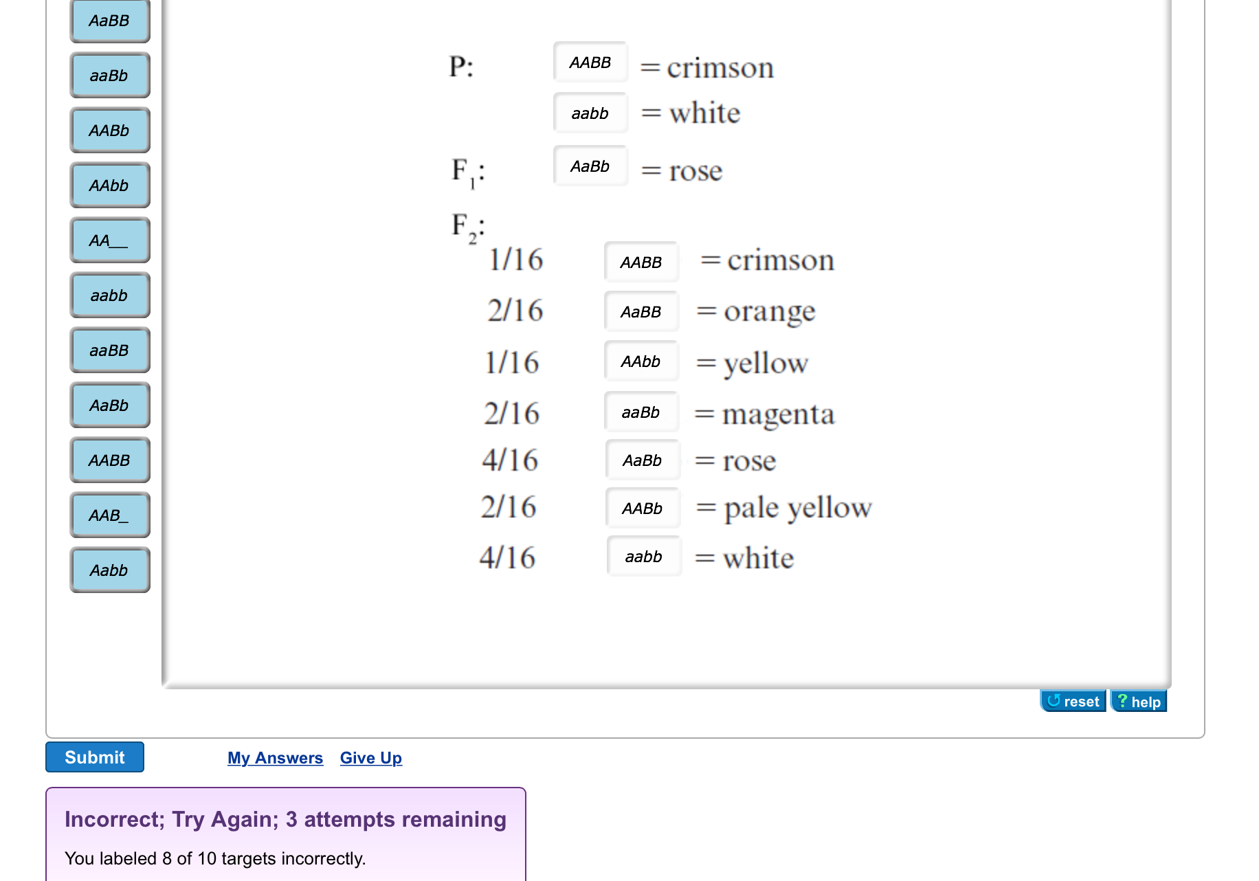 Solved Please Help...I cannot figure out this genetics | Chegg.com
