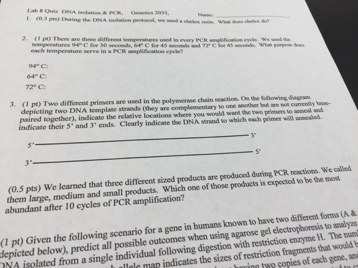 Solved During the DNA isolation protocol, we used a chelex | Chegg.com