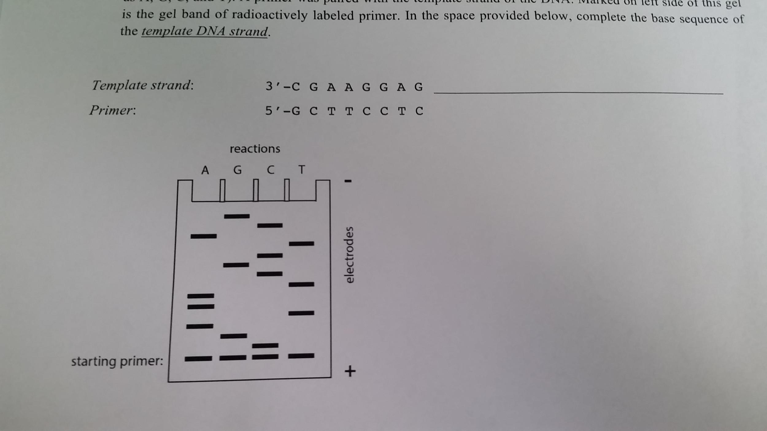 Solved Fred Sanger invented the first method for sequencing | Chegg.com