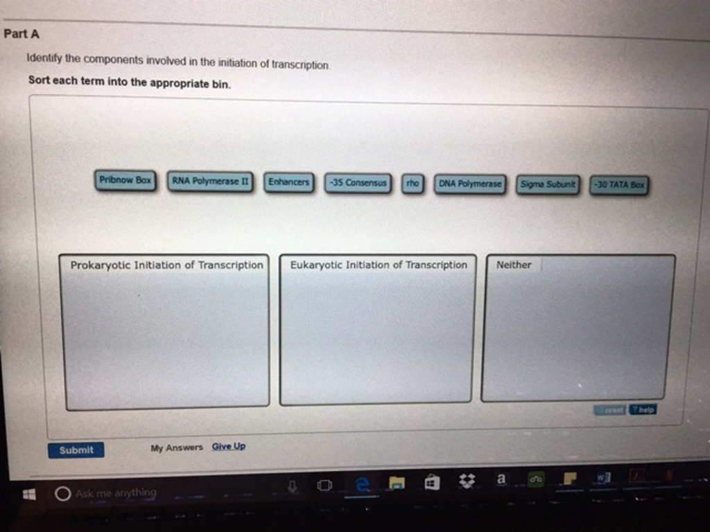 Solved Identity the components involved in the initiation of | Chegg.com
