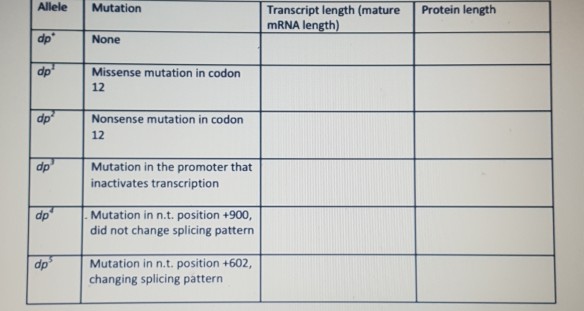 Solved primer a primer b primer c primer d primer e primer f | Chegg.com