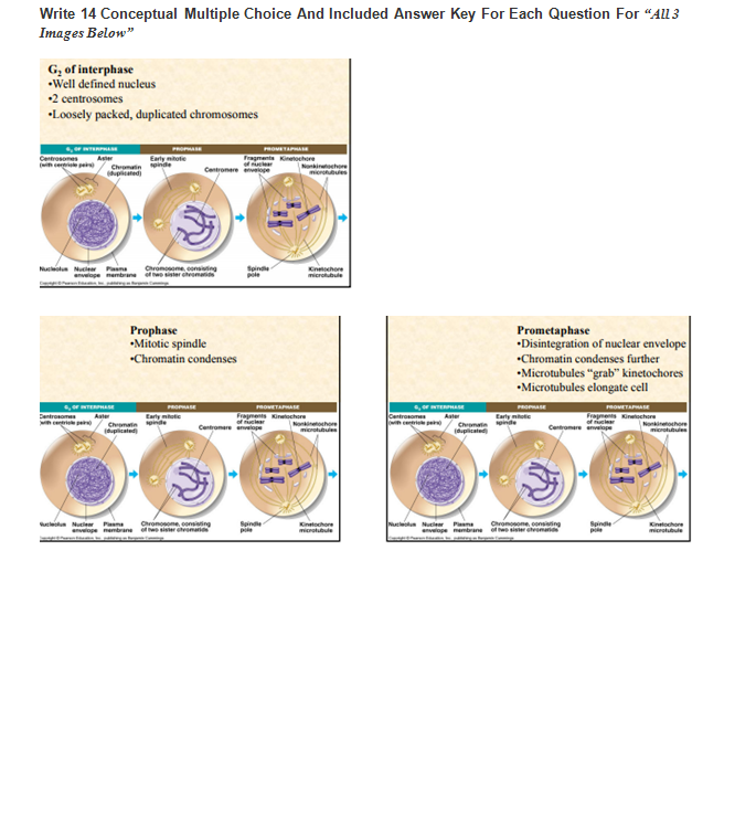 Solved Note: Write 14 Conceptual Multiple Choice And | Chegg.com