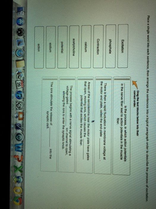 Solved Place a single word into each sentence, then arrange | Chegg.com