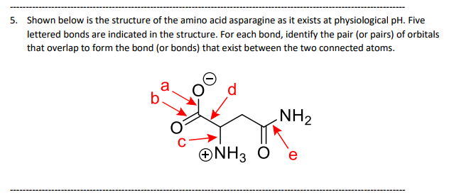 Solved Shown below is the structure of the amino acid | Chegg.com