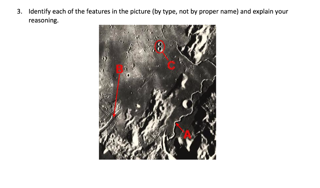 Solved Identify each of the features in the picture (by | Chegg.com