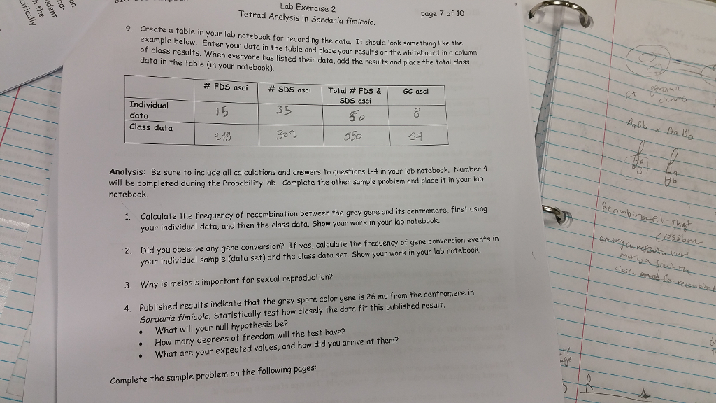 Solved Create a table in your lab notebook for recording the | Chegg.com