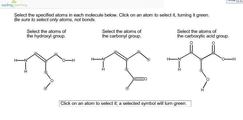 Solved Select the specified atoms in each molecule below. | Chegg.com