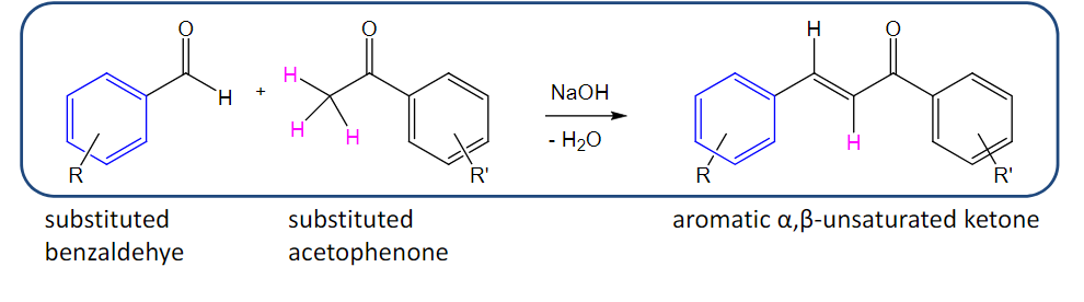 Solved What would these structures be based on MS? (They're | Chegg.com