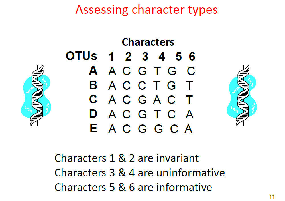 Multi Character Character Literal