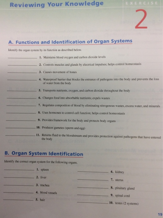 Solved EXERCISE Reviewing Your Knowledge 2 A. Functions and | Chegg.com