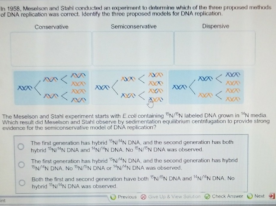Solved In 1958, Meselson and Stahl conducted an experiment | Chegg.com