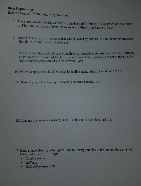 DNA ? mRNA Proteins Figure 1: Central Dogma...& | Chegg.com