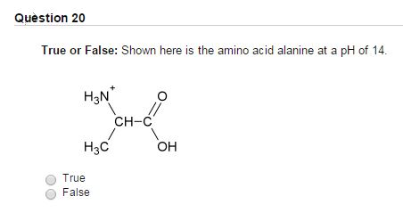 Solved Shown here is the amino acid alanine at a pH of 14. | Chegg.com