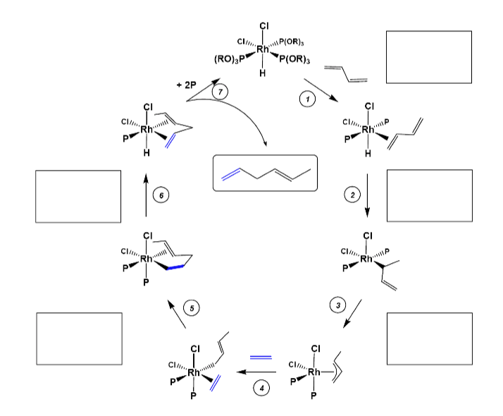 Solved The Following Catalytic Cycle Is For The Dimerization