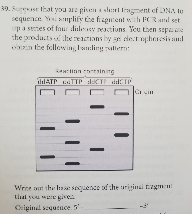 Solved 39. Suppose that you are given a short fragment of | Chegg.com