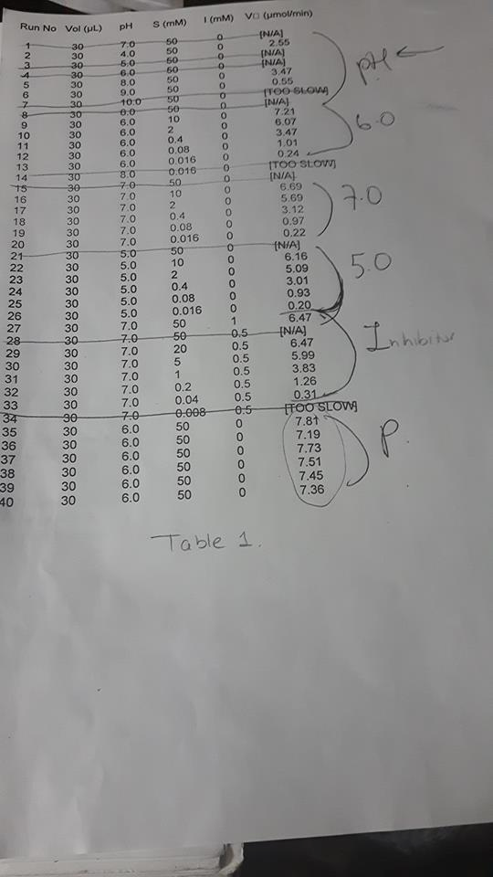 URGENT HELP NEEDED IN BIOCHEMISTRY In this graph if | Chegg.com