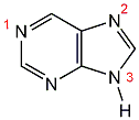 Solved Assuming the heterocyclic ring above to be planar: | Chegg.com