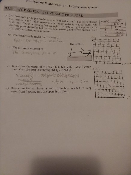 Solved Multiparticle Model: Unit 15 - The Circulatory System | Chegg.com