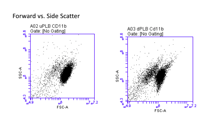 Solved 1) Using the FSC (forward scatter) vs. SSC (side | Chegg.com