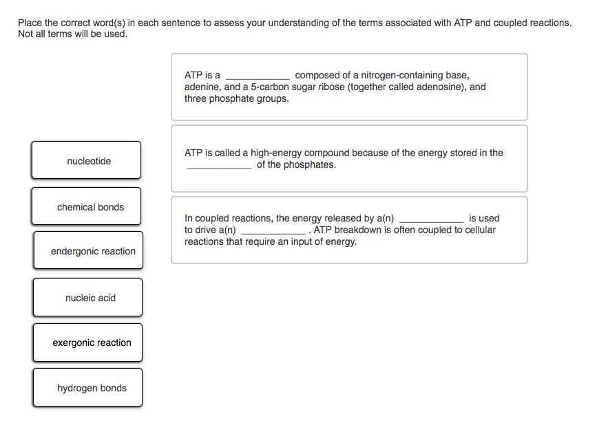 Solved Place the correct word(s) in each sentence to assess | Chegg.com