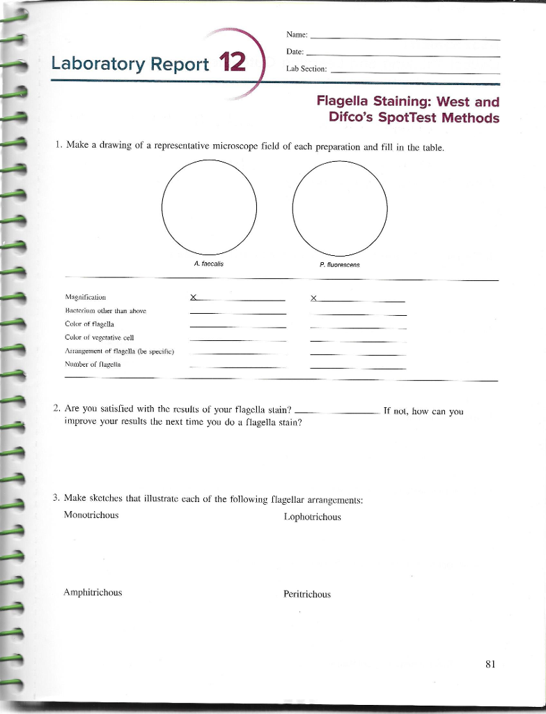 Solved Laboratory Report 12a Name Date: Lab Section: | Chegg.com