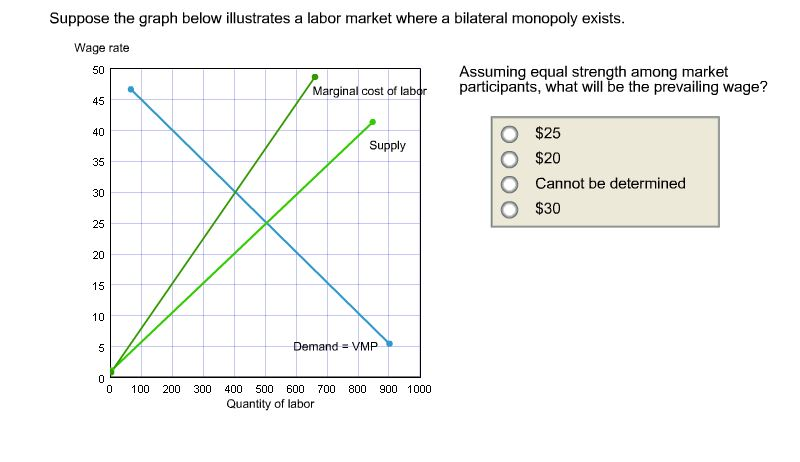 Solved Suppose the graph below illustrates a labor market | Chegg.com
