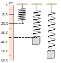 Solved The drawing shows three identical springs hanging | Chegg.com