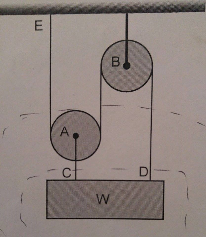 Solved The pulley system below is in static equilibrium. | Chegg.com
