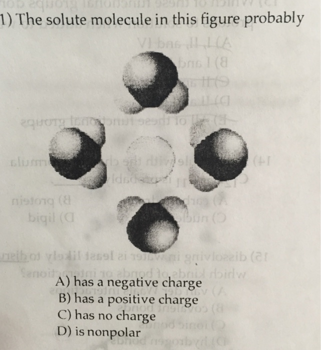 Solved The solute molecule in this figure probably has a | Chegg.com