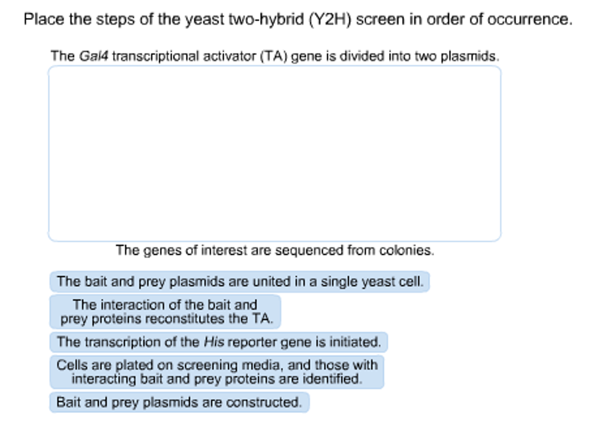 Solved Place the steps of the yeast two-hybrid (Y2H) screen | Chegg.com