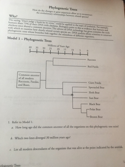 Solved How do the cha Phylogenetic Trees the in gene | Chegg.com