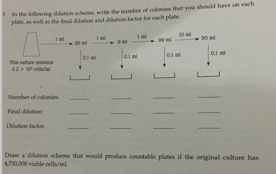 Solved In The following dilution scheme, write The number of | Chegg.com