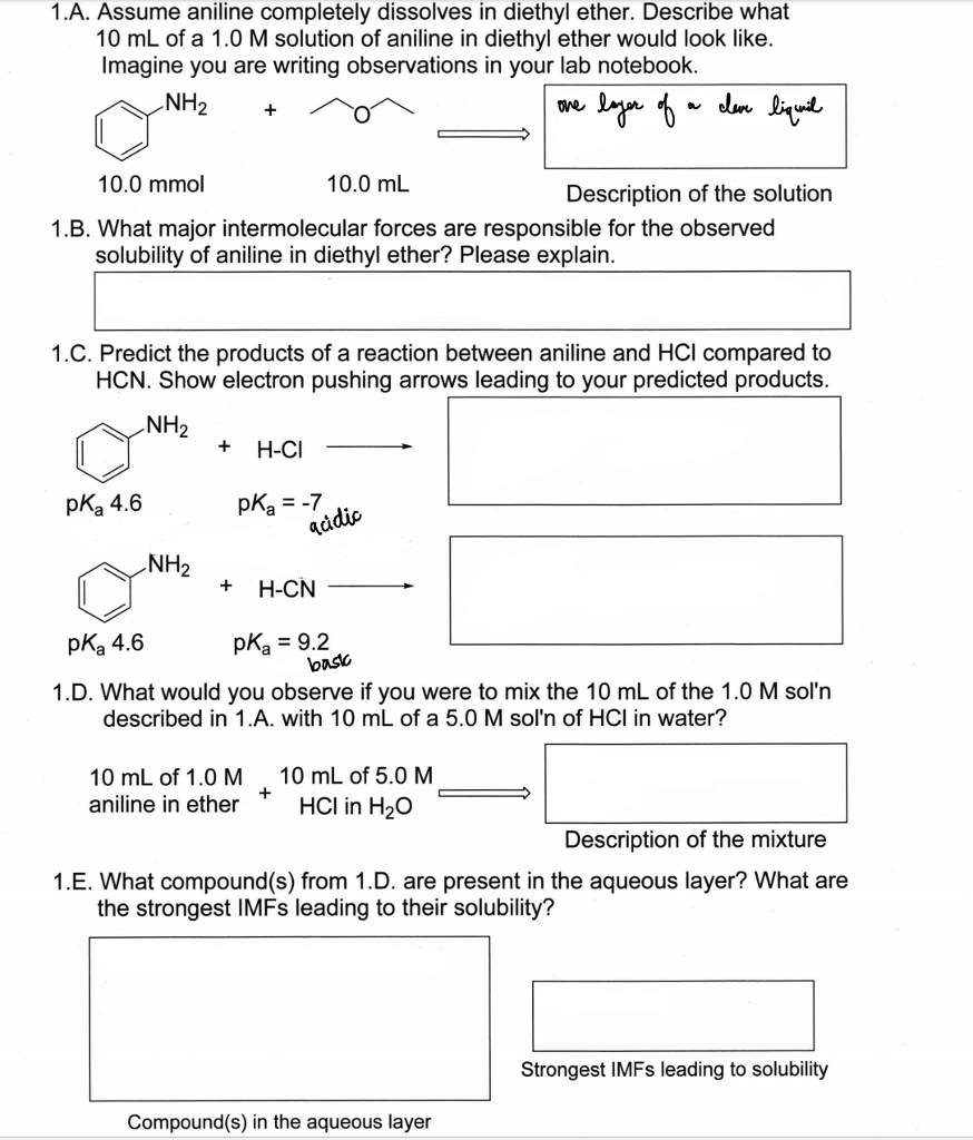 Solved 2 A Estimate The Rf Values For The Spots And Place