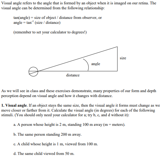 Solved Visual angle refers to the angle that is formed by an | Chegg.com