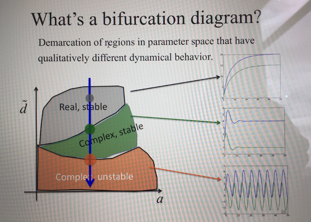 Solved Using this sample R code, create a bifurcation | Chegg.com